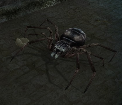 Soldier Spider - Official Vindictus Wiki