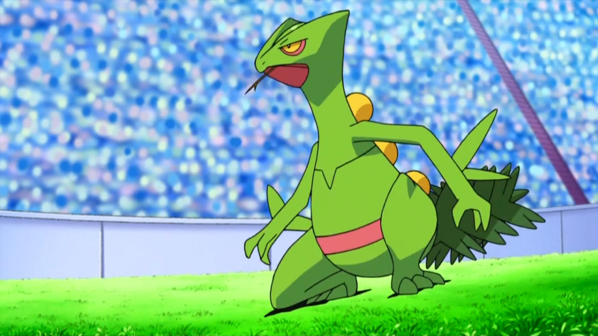 Ash's Sceptile - Azurilland Wiki