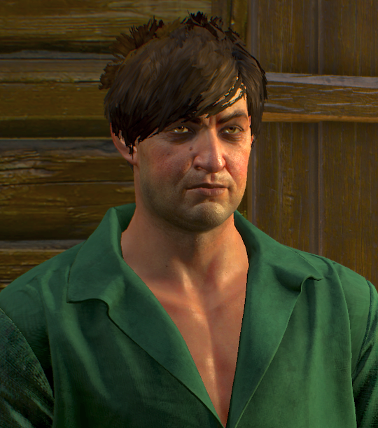 napp-the-official-witcher-wiki