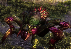 Endrega - The Official Witcher Wiki