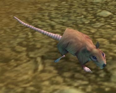 Dig Rat - Wowpedia - Your wiki guide to the World of Warcraft