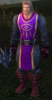 Dalaran Protector - Wowpedia - Your wiki guide to the World of Warcraft