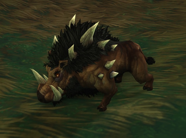 Highland Shoat - Wowpedia - Your wiki guide to the World of Warcraft