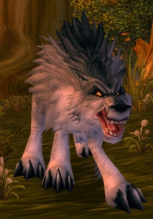 Gray Forest Wolf - Wowpedia - Your wiki guide to the World of Warcraft