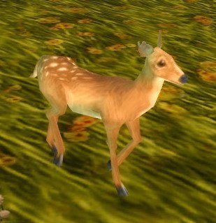 Fawn - Wowpedia - Your wiki guide to the World of Warcraft
