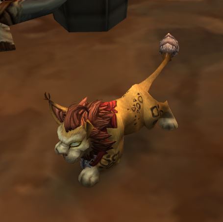 Wind Rider Cub (NPC) - Wowpedia - Your wiki guide to the World of Warcraft