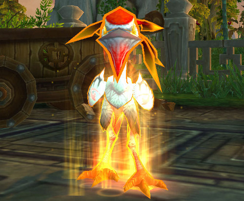 Chi Chi Hatchling Of Chi Ji Npc Wowpedia Your Wiki Guide To The World Of Warcraft