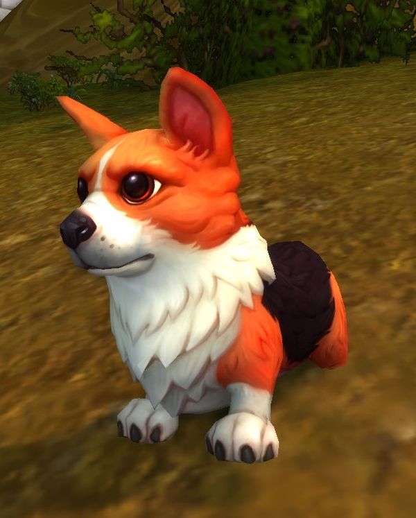 Corgi Pup - Wowpedia - Your wiki guide to the World of Warcraft