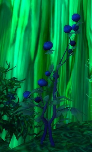 Moonberry - Wowpedia - Your wiki guide to the World of Warcraft