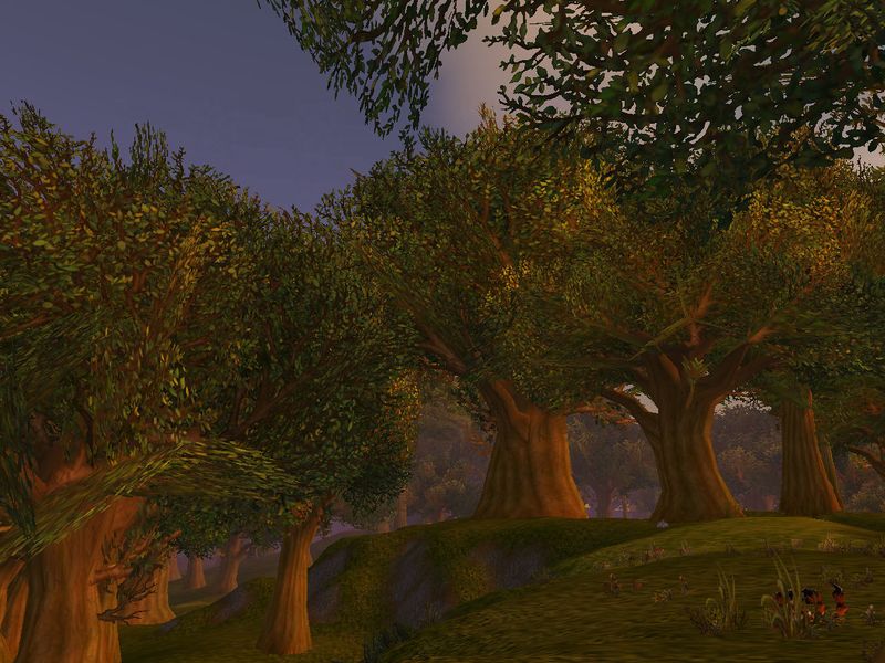 File:Elwynn Forest.jpg - Wowpedia - Your wiki guide to the World of ...