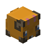 The Orange Wybel - Official Wynncraft Wiki