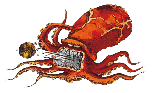 Octorok - Zelda Wiki