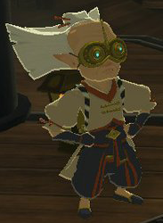 Robbie - Zelda Wiki